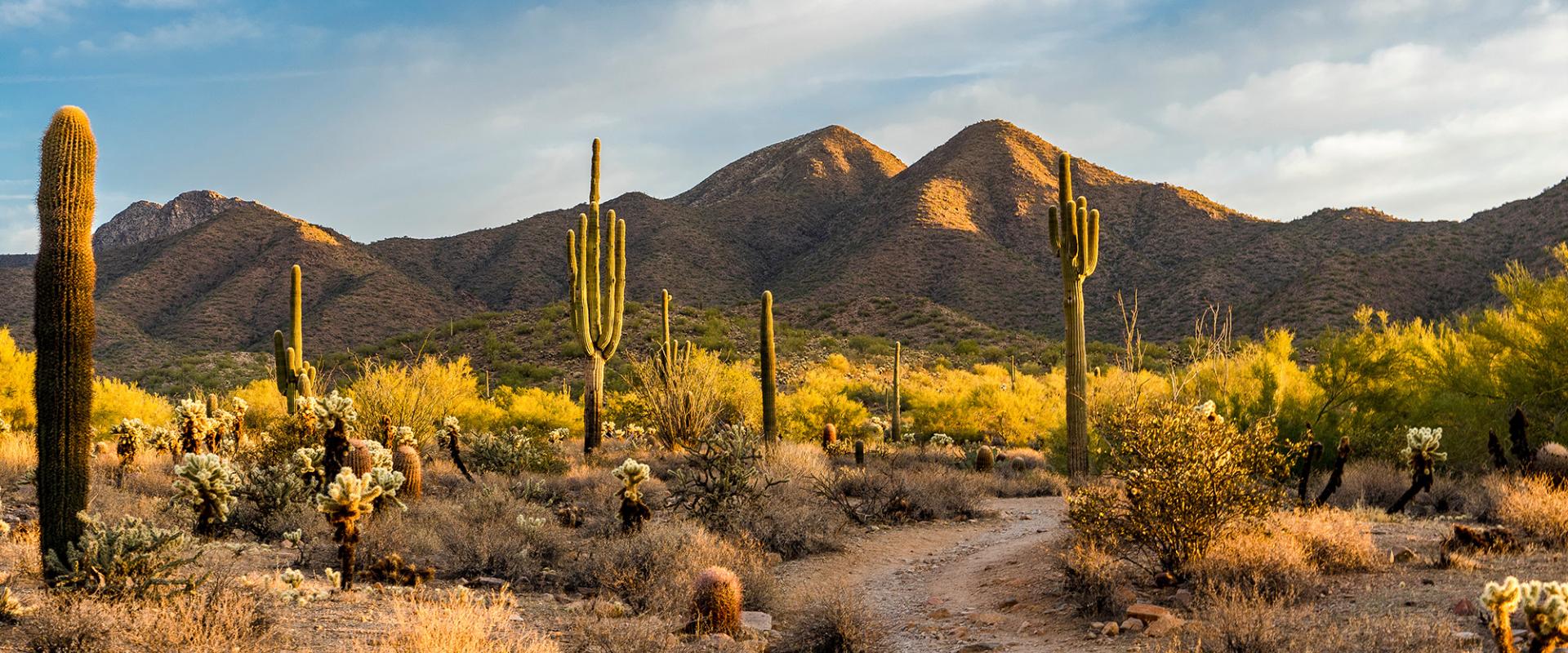 Navigating the 4 Phases of Retirement | One2One Wealth Strategies, LLC Navigating the 4 Phases of Retirement | One2One Wealth Strategies, LLC